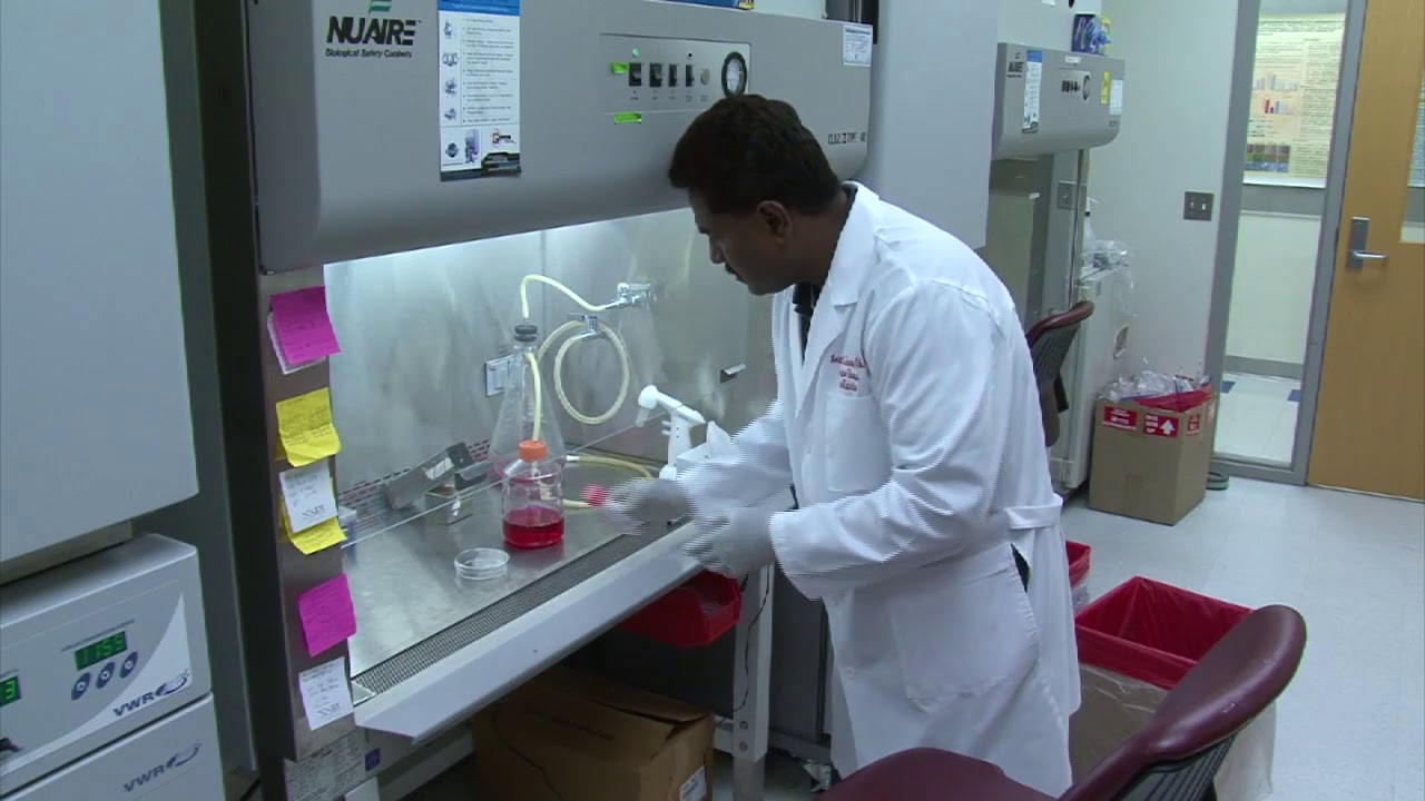 University of Oklahoma research identifies key protein in pancreatic cancer
