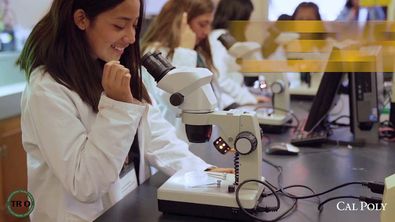 Learn By Doing Lab (1 min) - YouTube