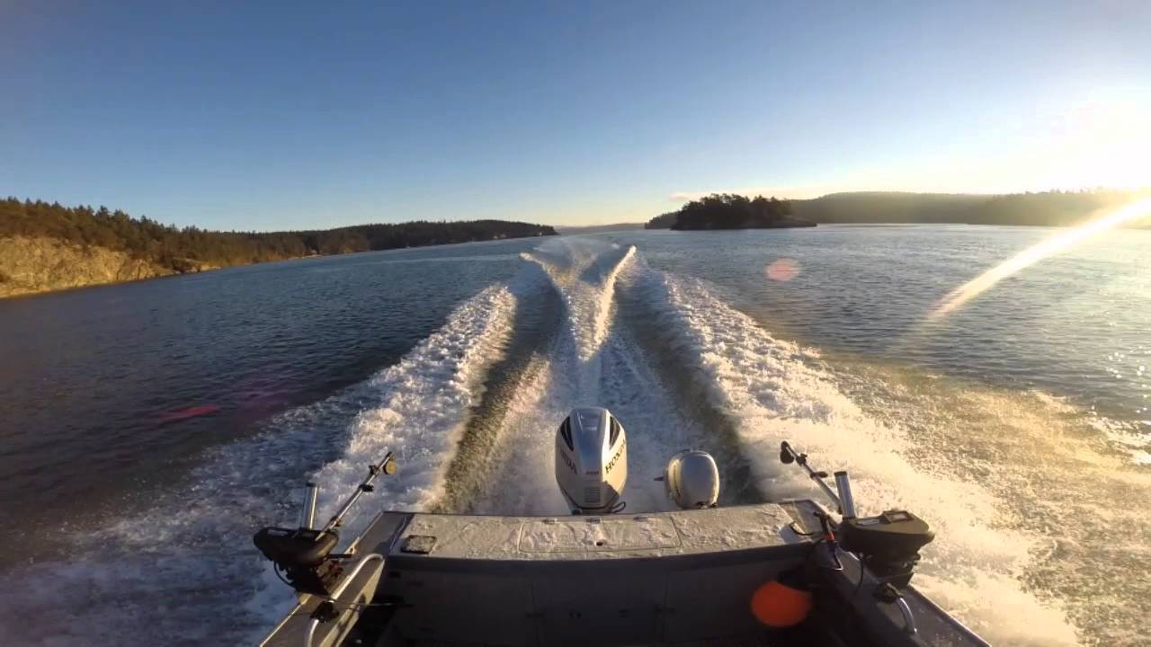 Raider Boats 2484 Cuddy with Honda BF250 - YouTube