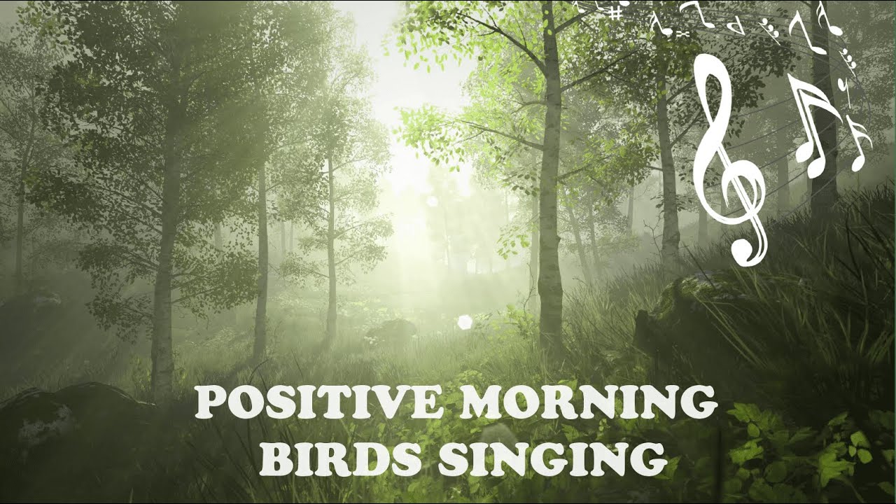 Morning birds singing natural relaxing and positive morning vibes ...