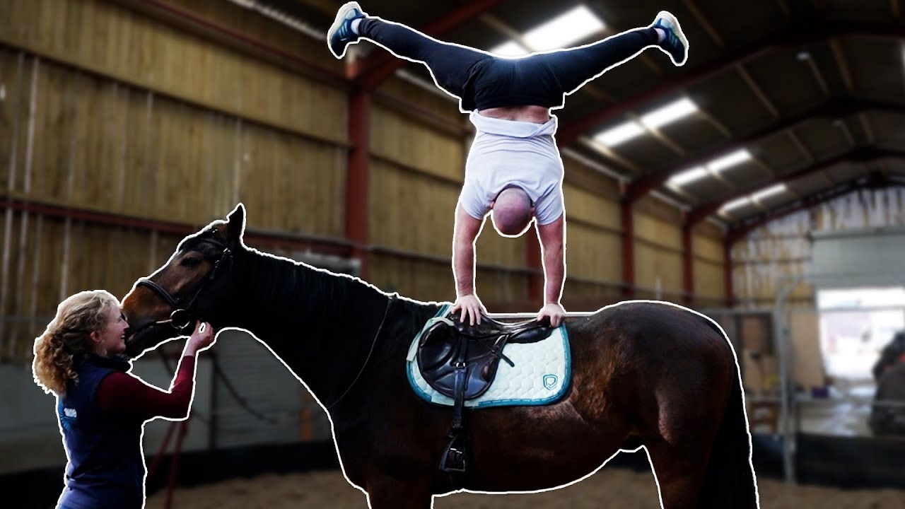Can a Gymnast BACKFLIP on a HORSE? - YouTube