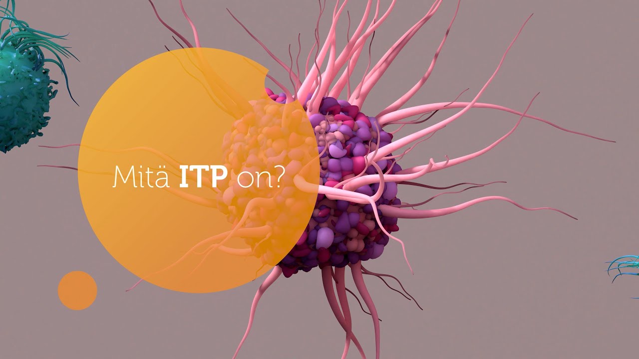 Mikä on ITP? - Tohtori Waleed Ghanima selittää ITP:stä - YouTube