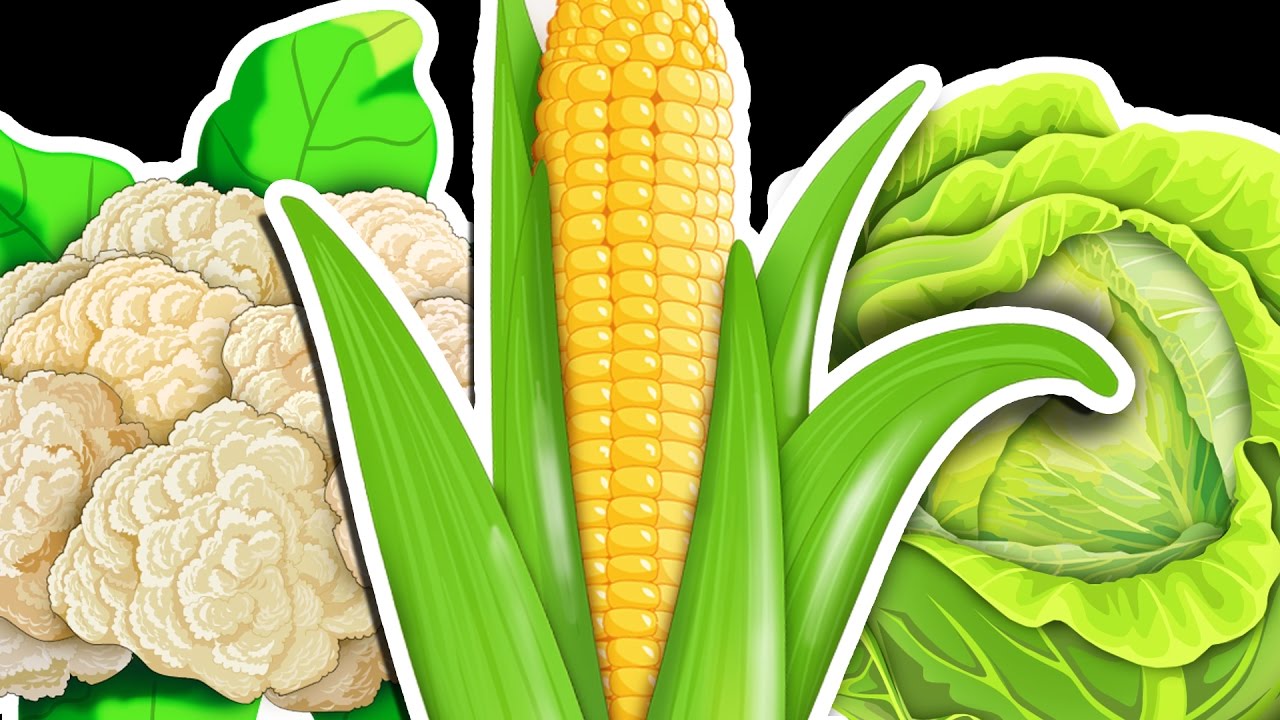 Vegetables l Learn about Vegetable's l Fun Leaning - YouTube