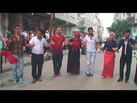 kürt halay dünyası bilo halay başı