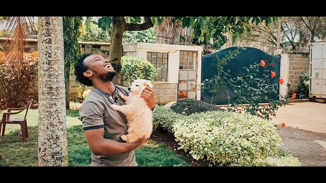 You have 8 dogs, you said? 😲 - YouTube