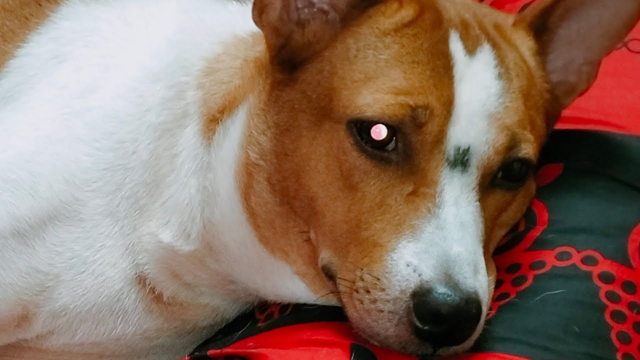 Gunda Raja is live hi everyone 🙏🏻 - YouTube