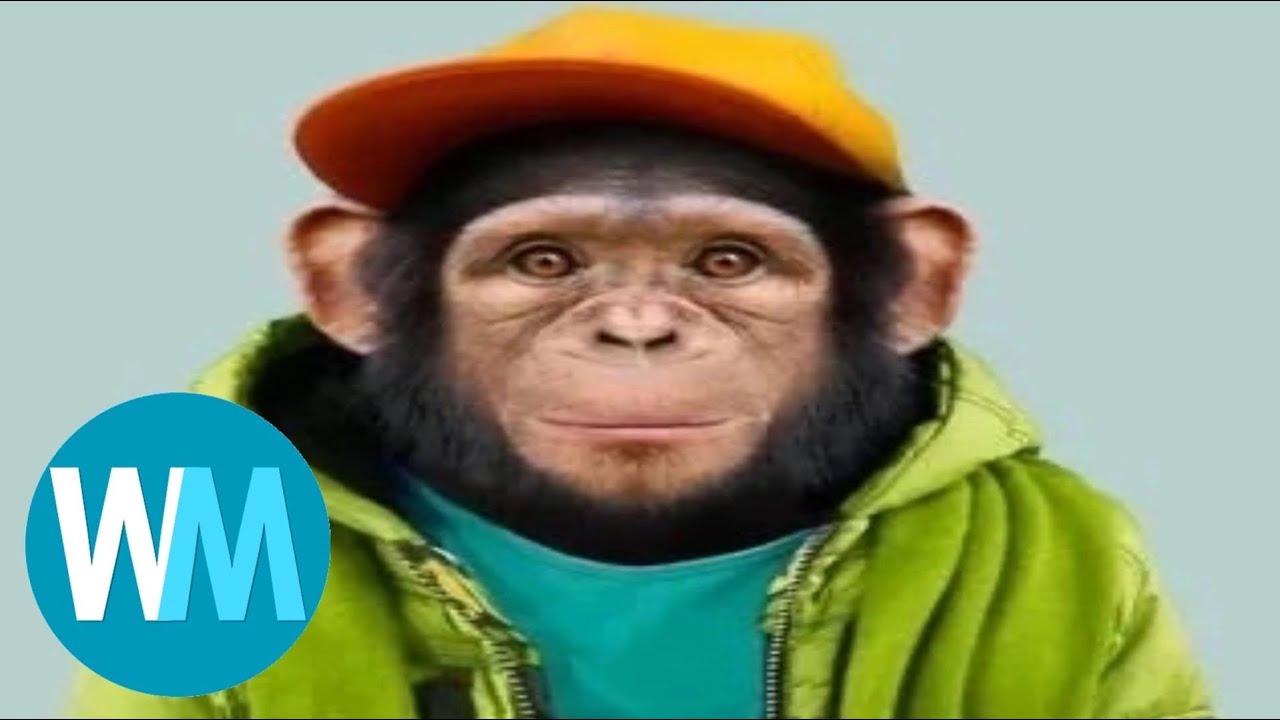 Top 5 manke - YouTube