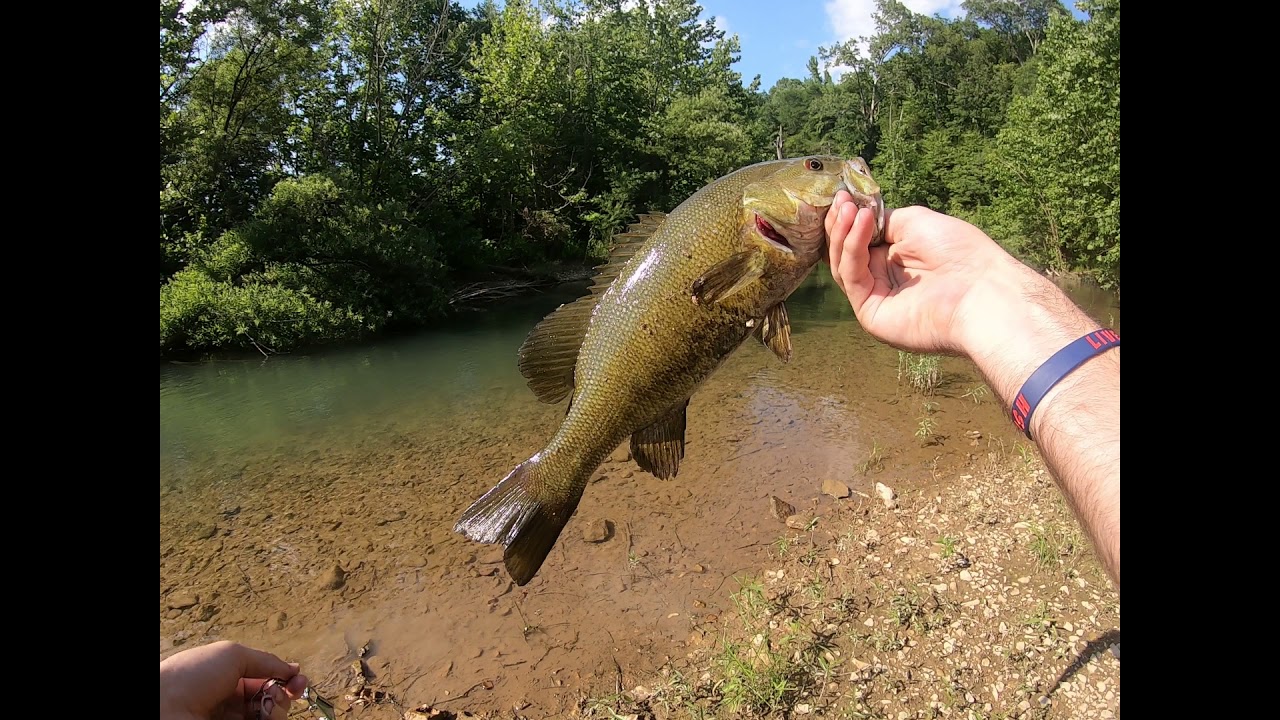The Little White Jig Never Fails 6 20 2020 Afternoon - YouTube