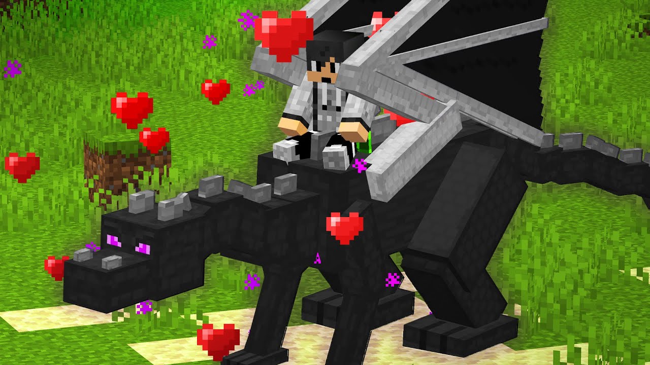 So I TAMED the Ender Dragon in Minecraft... (Flying) - YouTube