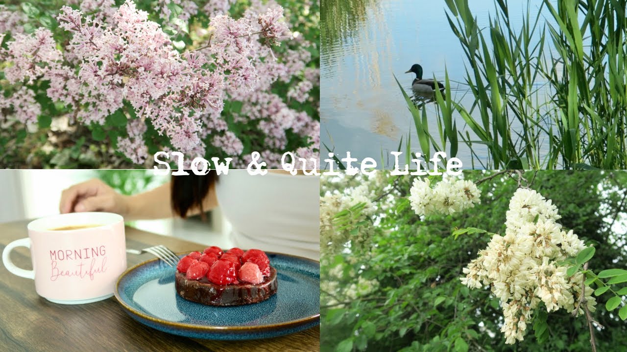 Living in Hungary 🇭🇺| Simple & Slow Living in the Countryside of ...