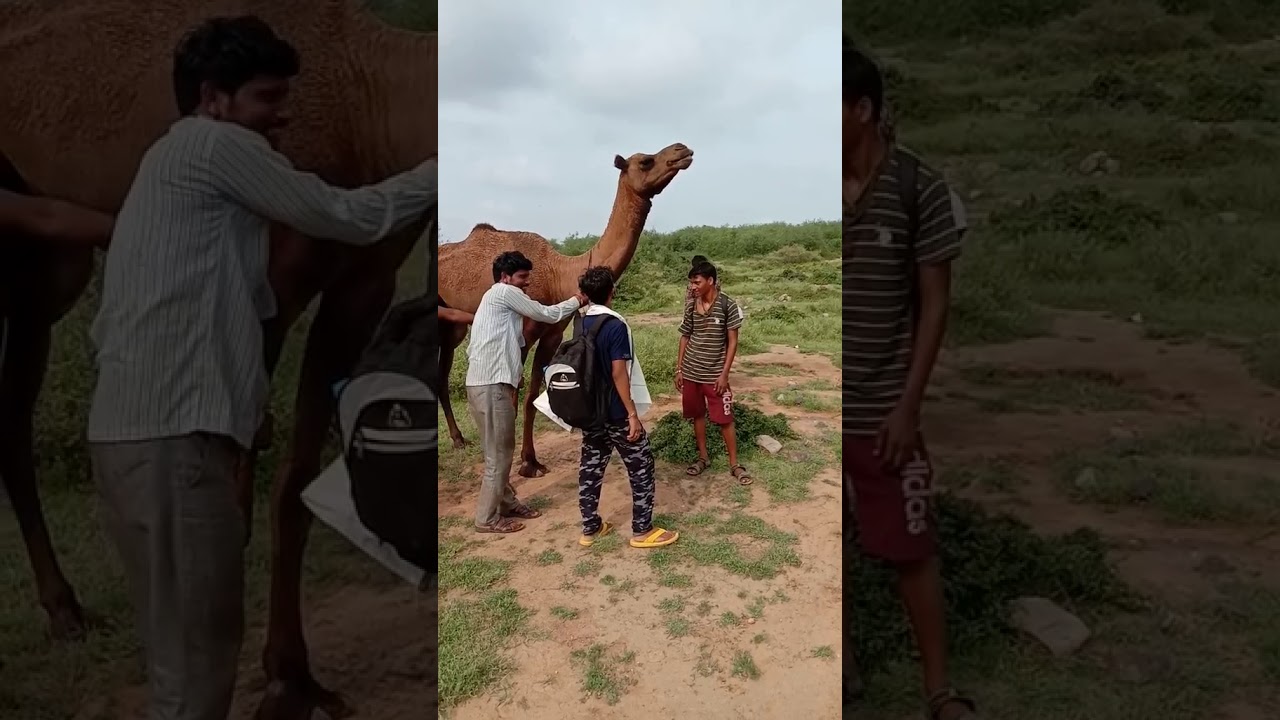 Manoj raikwar poha - YouTube