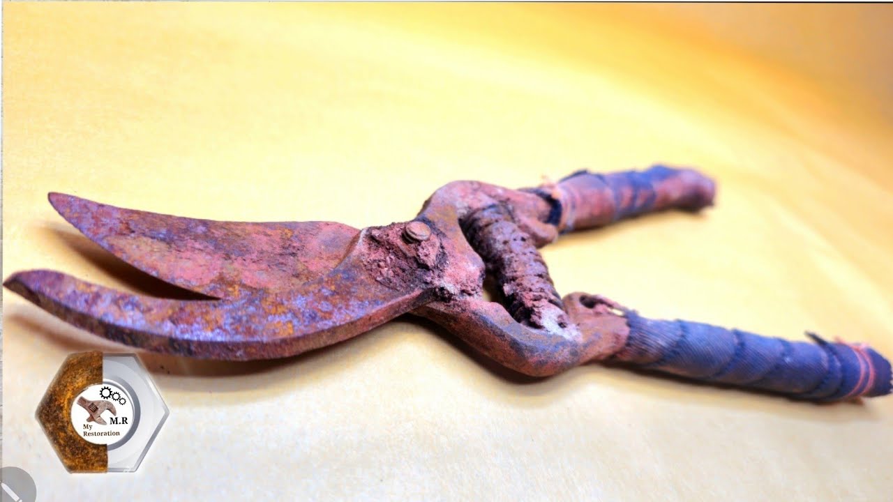 Restoration [ Very Rusted Flower Cutter] Garden Scissors - 1990's [Old ...