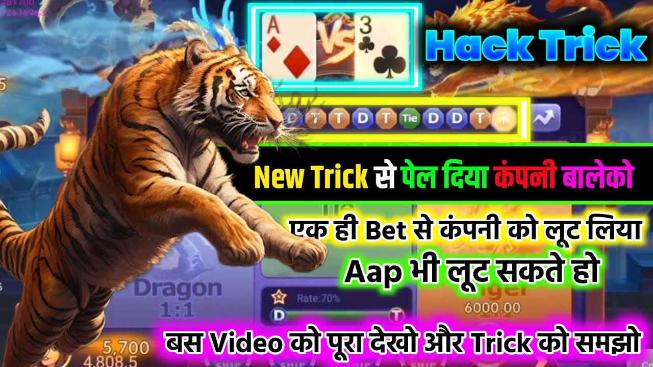 dragon 🐲 vs tiger 🐅 trick | dragon vs tiger winning tricks | dragon vs ...