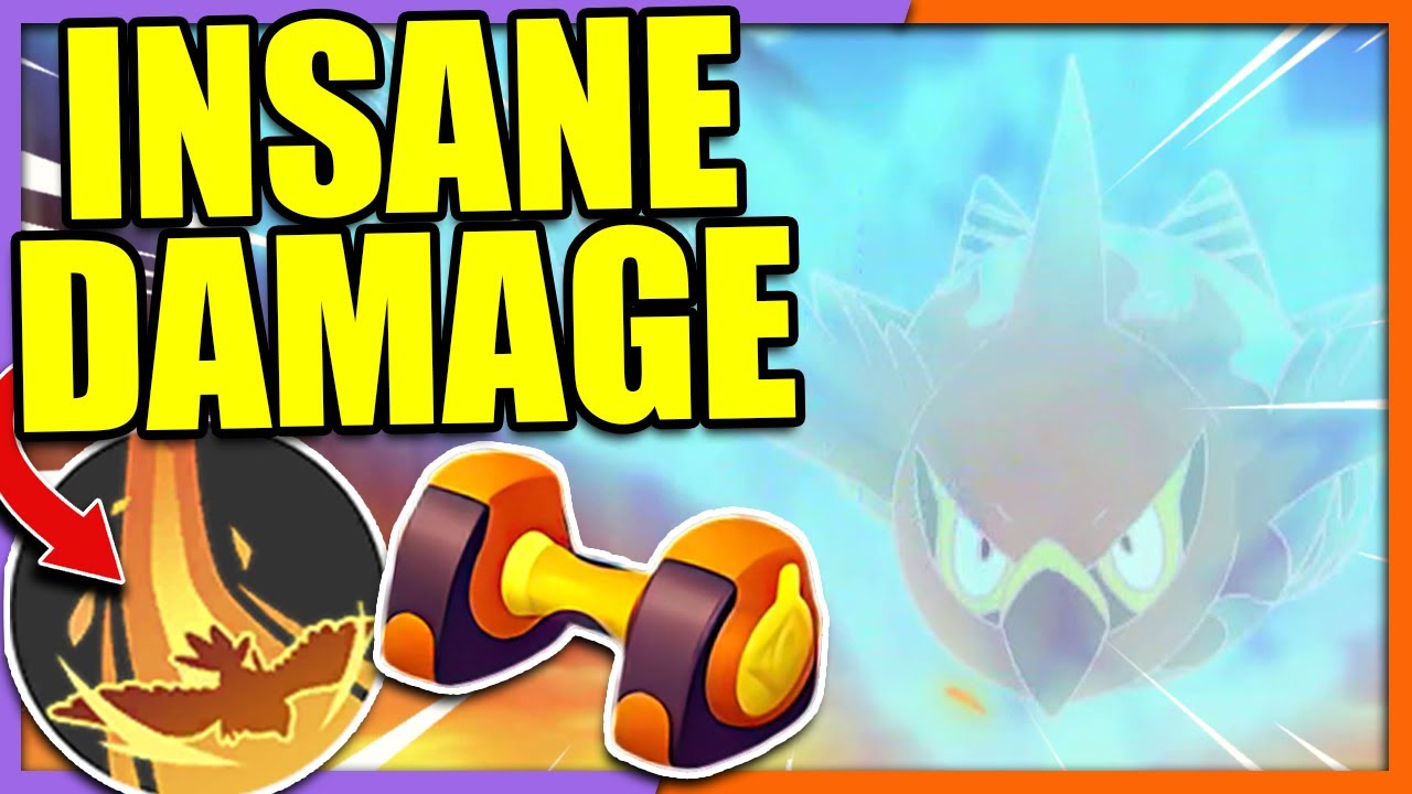 What have I DONE?! Incredible Brave Bird Talonflame game turns into a ...