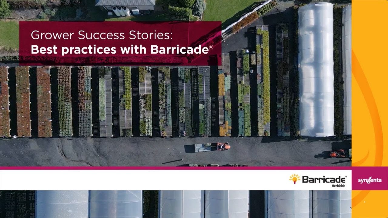 Grower Success Stories: Best Practices with BARRICADE® - YouTube