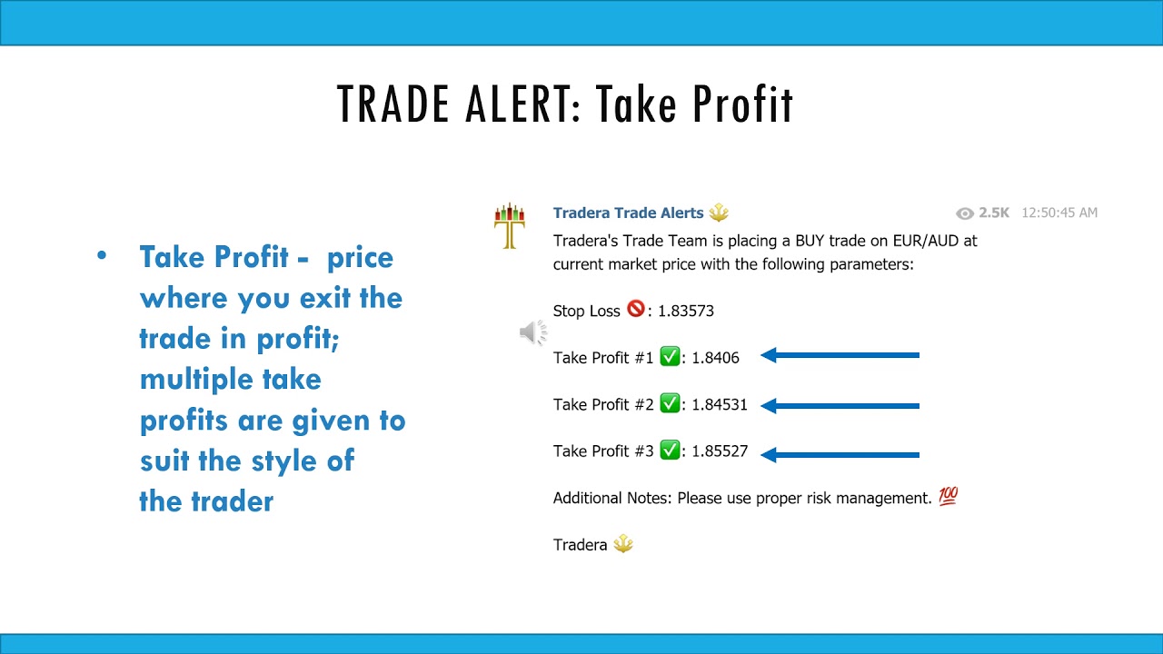 Understanding the Tradera Trade Alert - YouTube