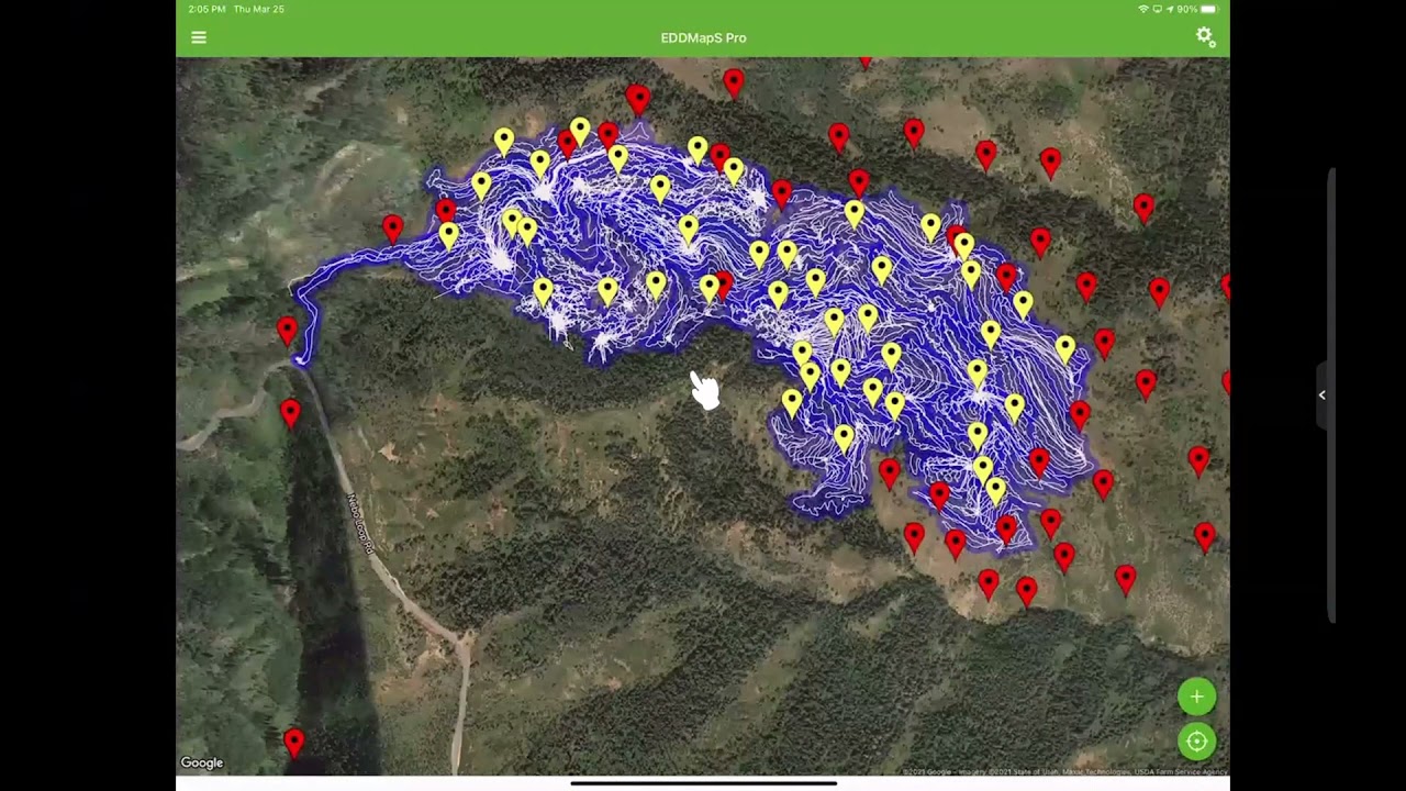 How to use EDDMapS Pro - YouTube