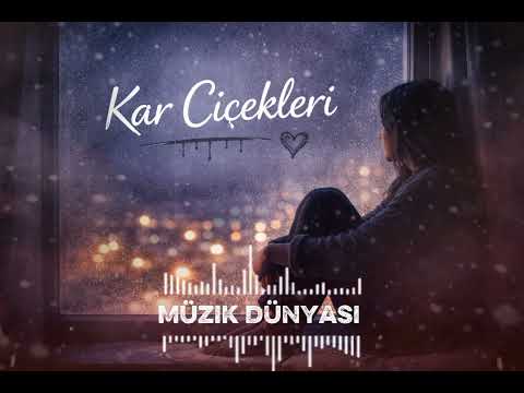 Kar Çiçekleri