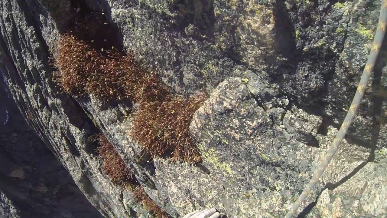 Keyhole Ridge: Longs Peak 14,256 ft Rocky Mountain National Park - YouTube