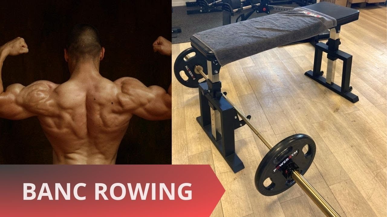 BANC ROWING PLANCHE - BENCH ROW SEAL PROFESSIONNEL - YouTube