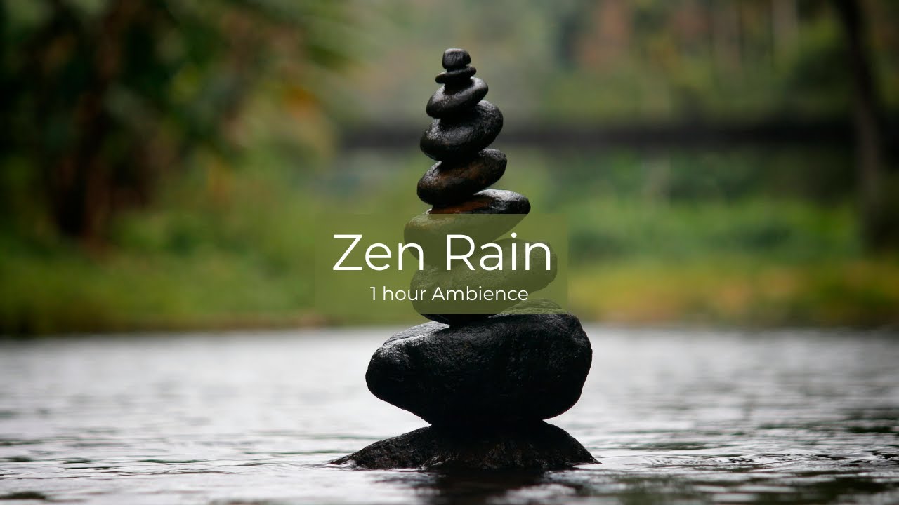 Quiet Rain | Zen Energy | 1 Hour Ambience - YouTube