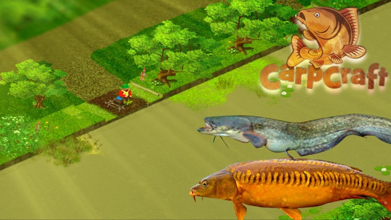 New Reel = Bigger Fish? | Carpcraft | Ep 6 - YouTube