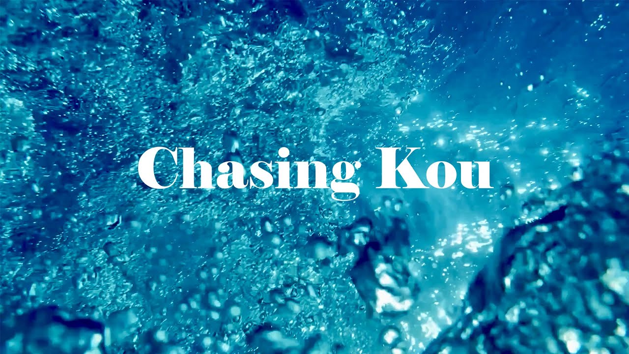 (물에서 듣는) 물에 빠진 나이프 OST - Chasing Kou - YouTube