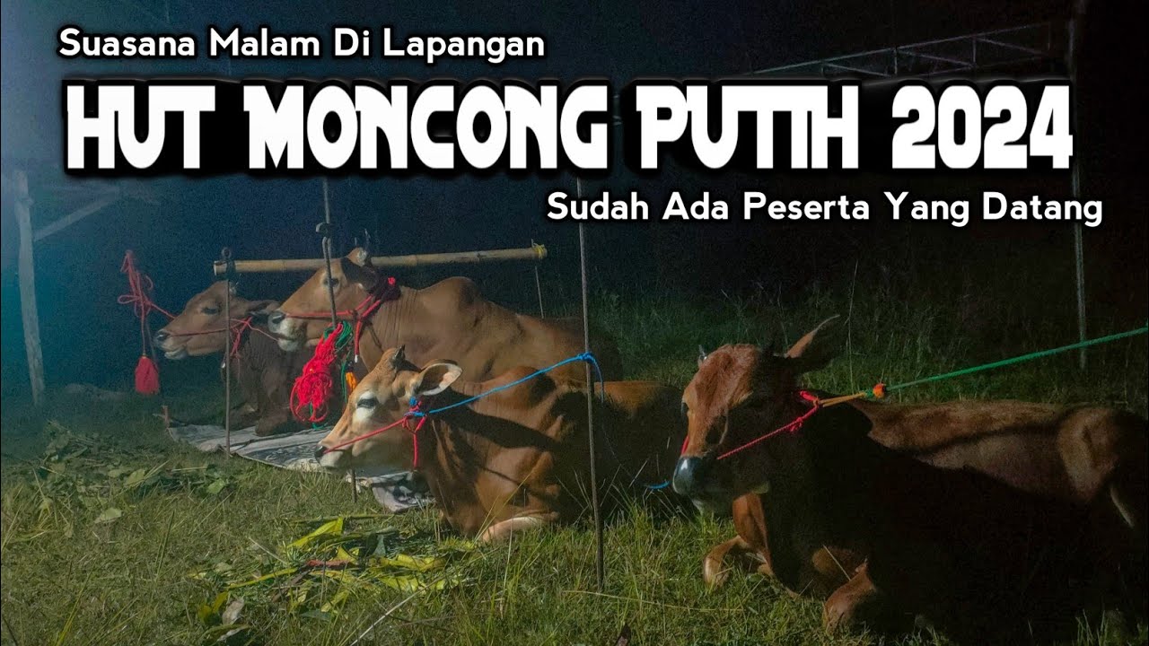 Suasana Malam Di HUT MONCONG PUTIH 2024 || Lapangan Katol Bangkalan ...
