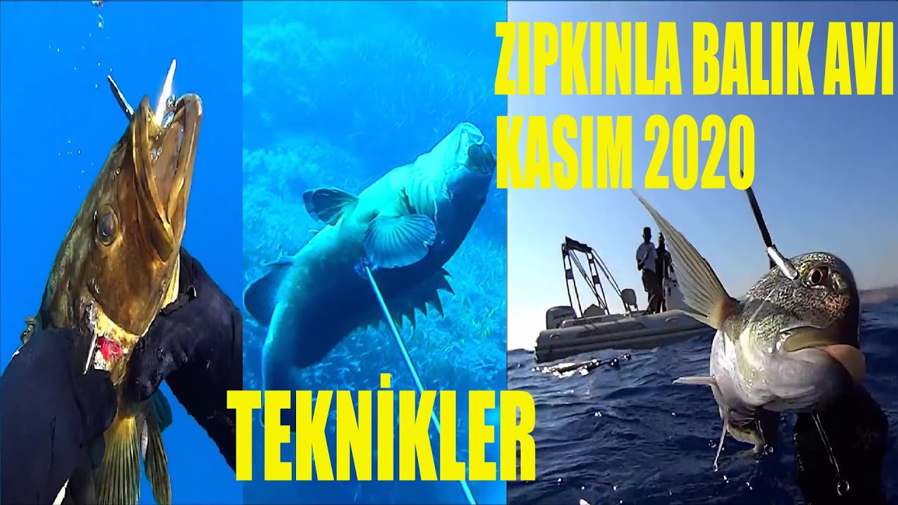 ZIPKINLA BALIK AVI KASIM KIBRIS AKYA - GRİDA - ORFOZ - SİNARİT - YouTube