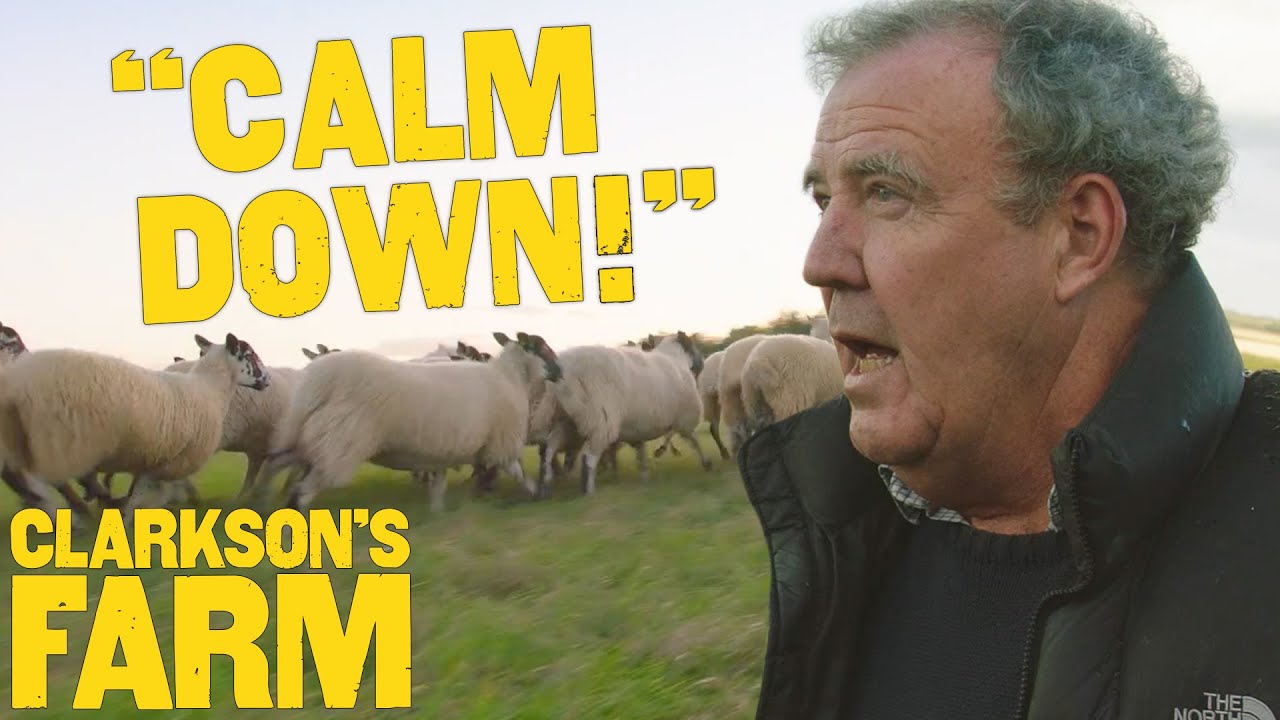 Jeremy Clarkson's Sheep Escape From The Field 🐑 #Shorts - YouTube