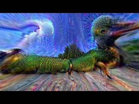 Google Deep Dreaming - YouTube