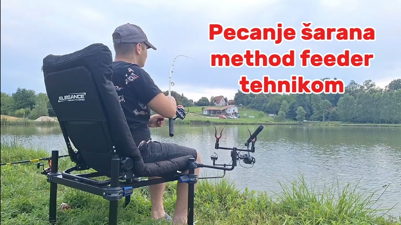 Pecanje šarana - method feeder tehnikom / jezero peca mladenovac - YouTube