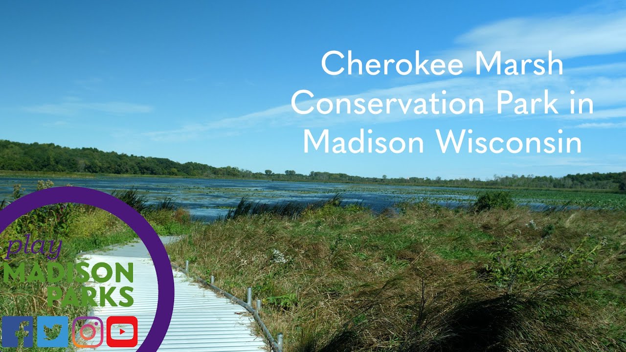 Cherokee Marsh Conservation Park, Madison Wisconsin - YouTube