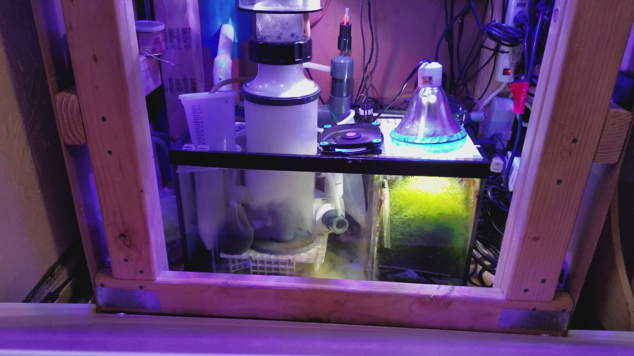 Mini Reef Upgrades - YouTube