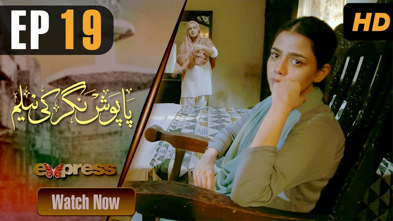 Pakistani Drama | Paposh Nagar Ki Neelam - Episode 19 | Hina Ashfaq ...