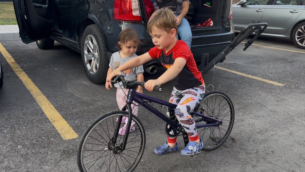 I Custom Painted and Rebuilt a 2005 Redline Proline Micro Mini BMX to ...