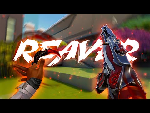 Reaver Vandal ASMR - YouTube