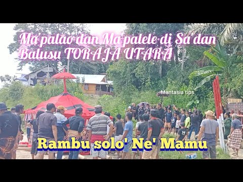 Ma'palao dan Ma'palele Ritual Rambu Solo' I Pemakaman Termahal Ne' Mamu ...