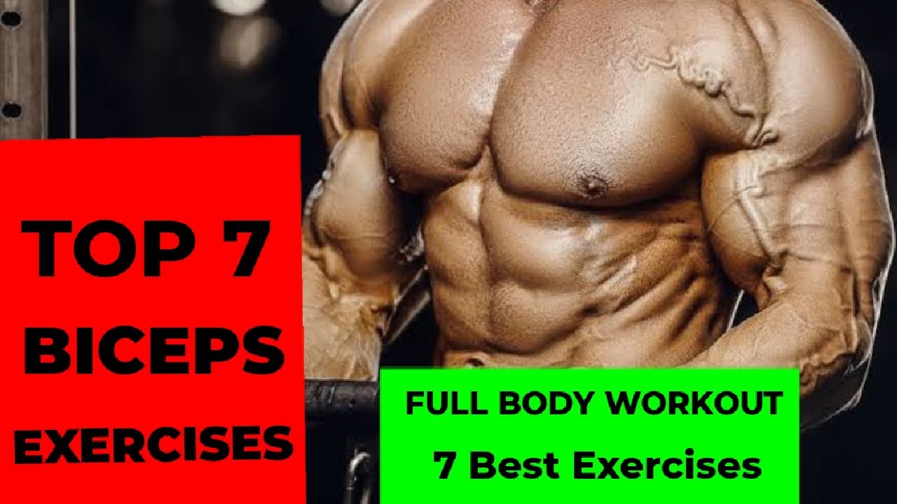 top 7 biceps exercises best biceps Full workout 💪 biceps exercise - YouTube