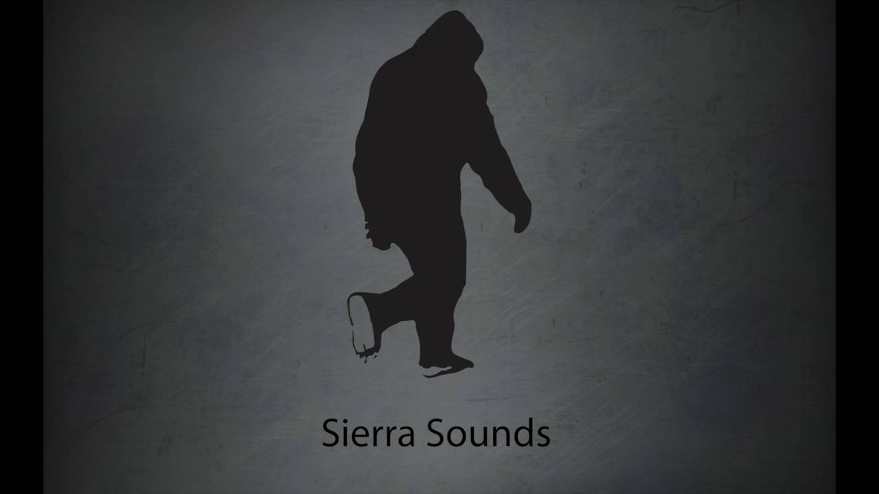 Sierra Sounds - YouTube