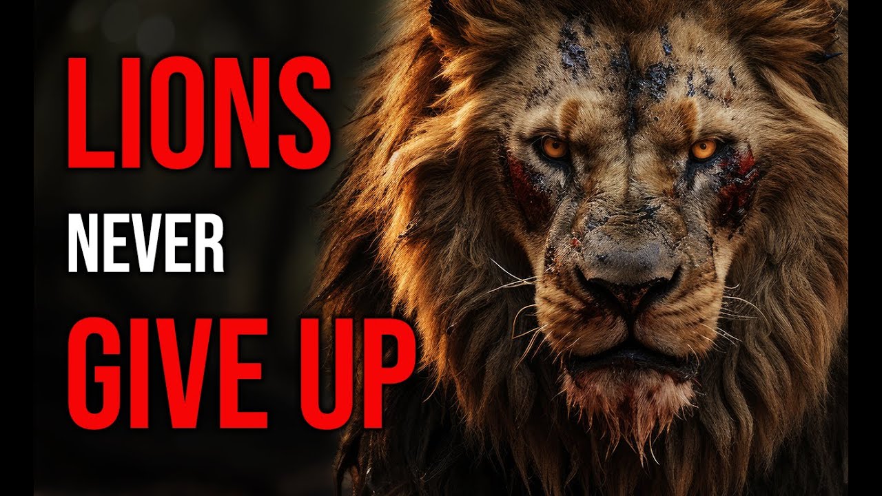 Real Lions DON'T QUIT - Motivational Speech Compilation - YouTube