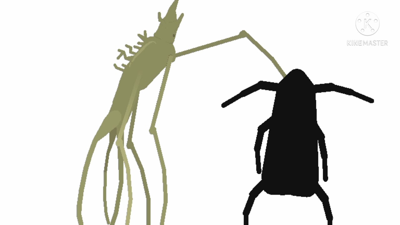 day 2027 vs dread roach - YouTube