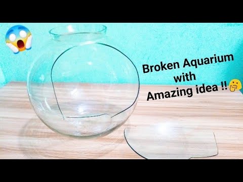 Amazing idea with Broken Aquarium !! - YouTube