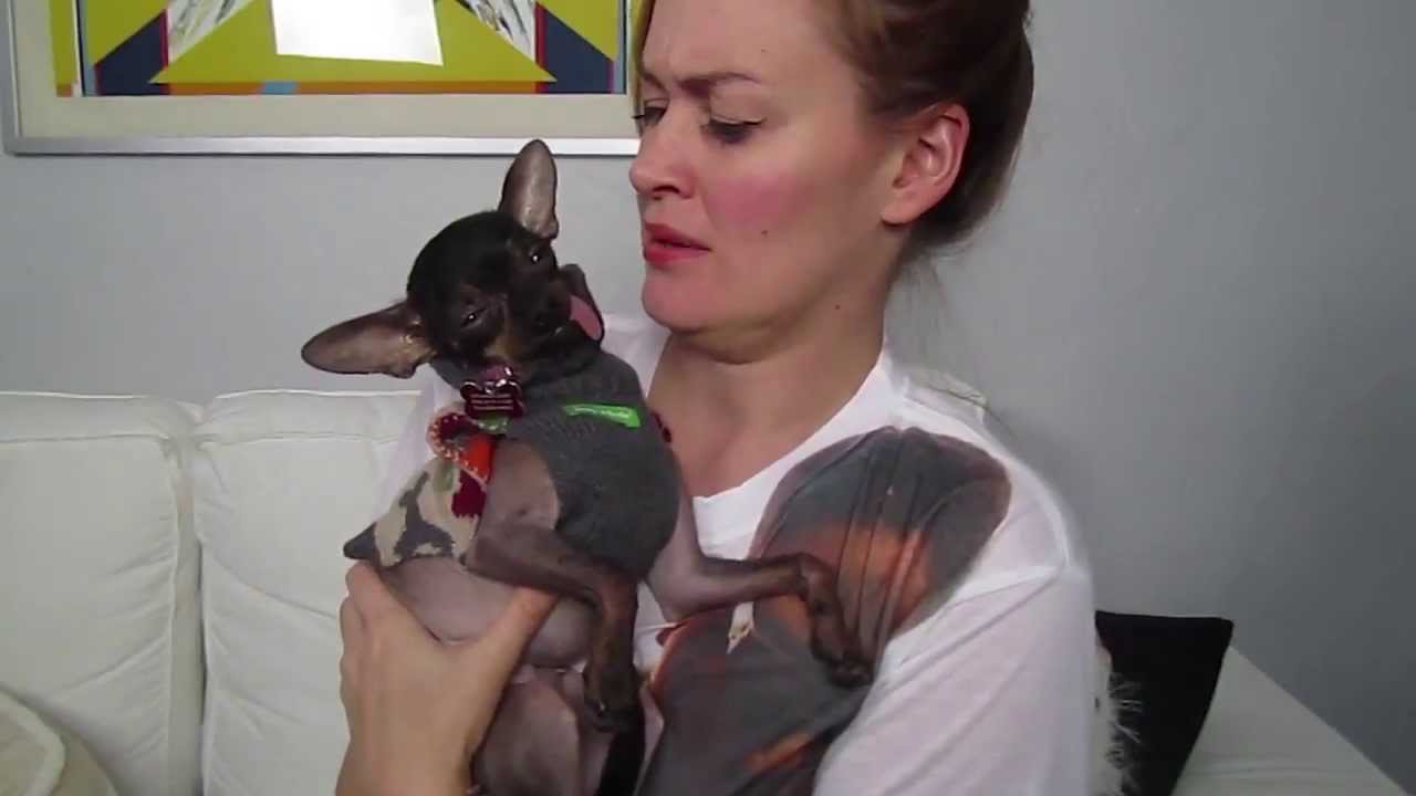 BEANZ UNLEASHED - YouTube