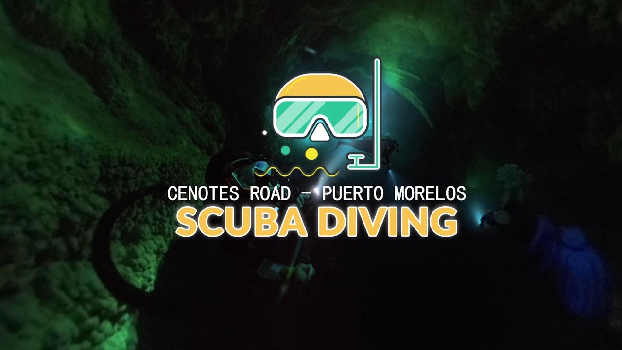 SCUBA DIVING - Cenotes Road / Puerto Morelos (01.2025) - YouTube