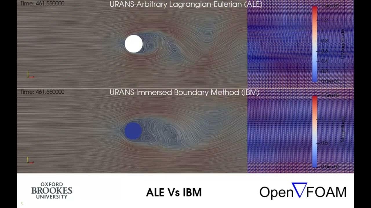 Arbitrary Lagrangian-Eulerian (ALE) method and the Immersed Boundary Method (IBM)-OpenFOam - YouTube