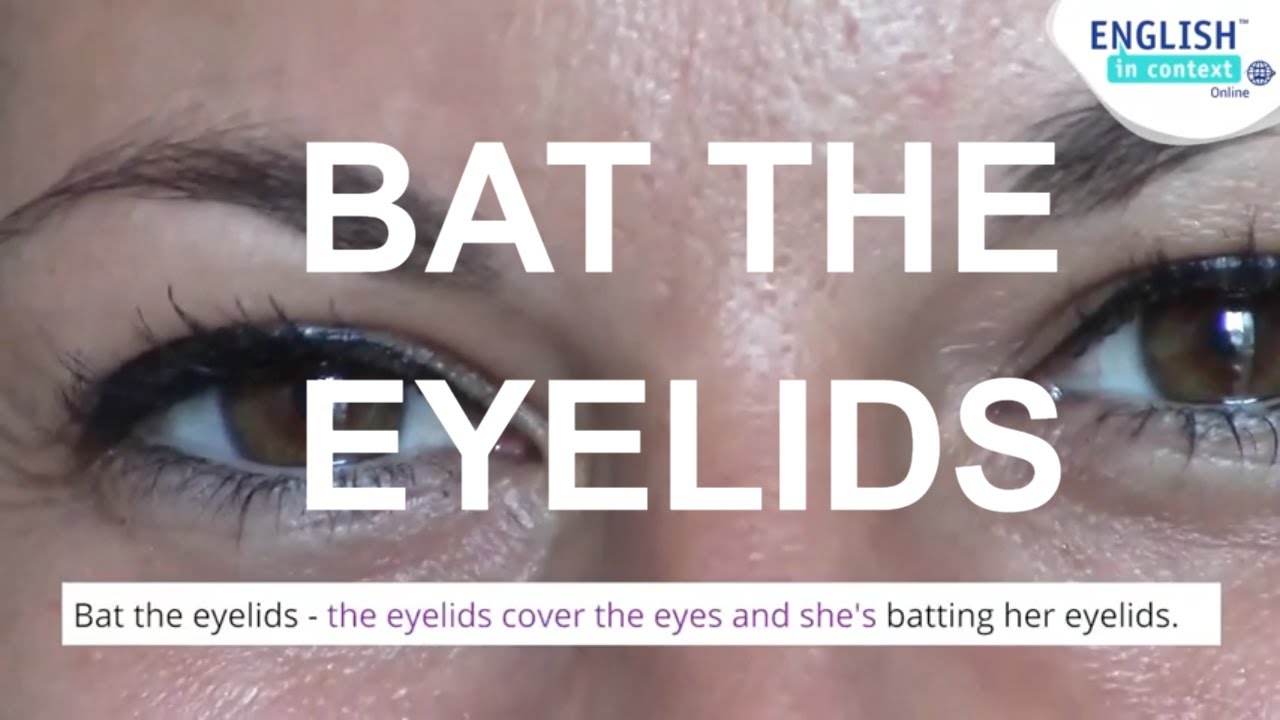What Does To Bat The Eyelids Mean What Does Not Bat An Eyelid Mean
