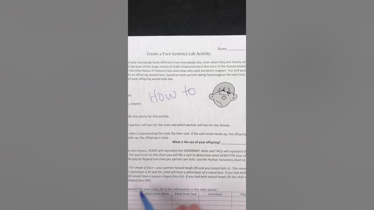 How to Genetics Baby Face Activity - YouTube