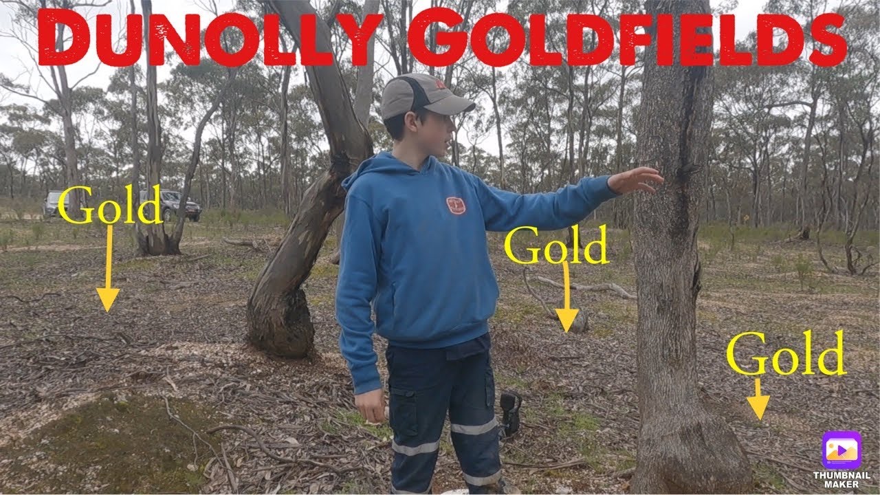 Finding Gold While Prospecting The Beautiful Dunolly Goldfields. - YouTube