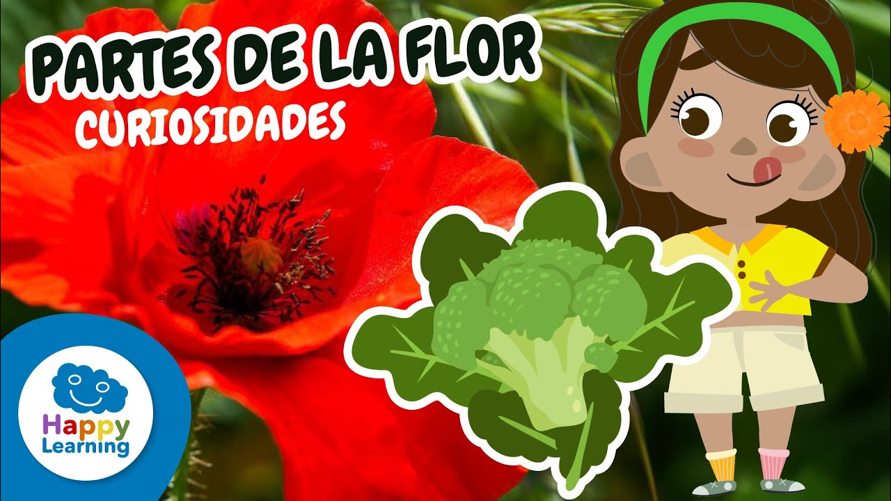 🌺 LAS FLORES: Curiosidades Sorprendentes, Tipos y su fascinante origen ...